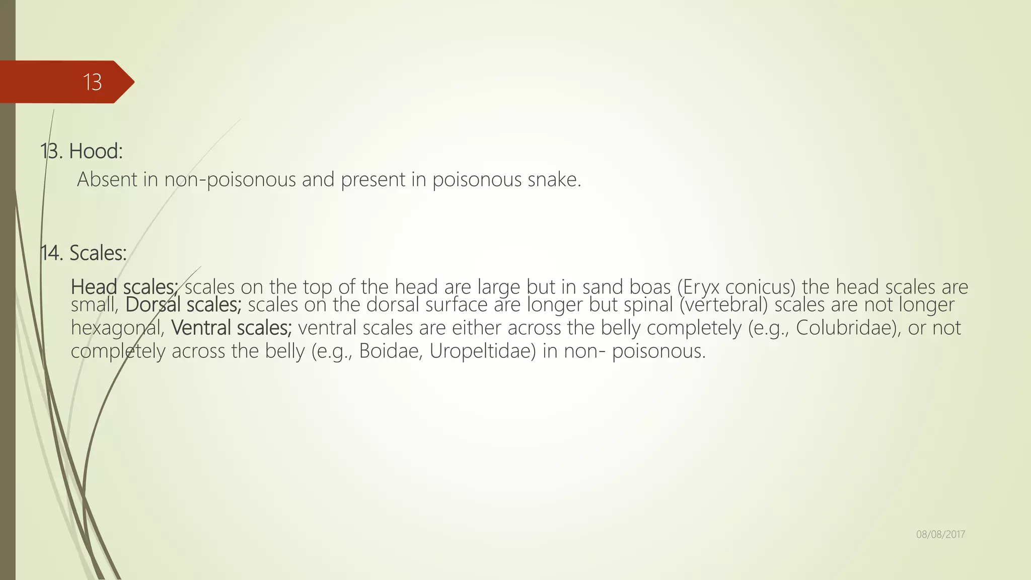 How to Identify Poisonous and Non-poisonous Snake | PPTX