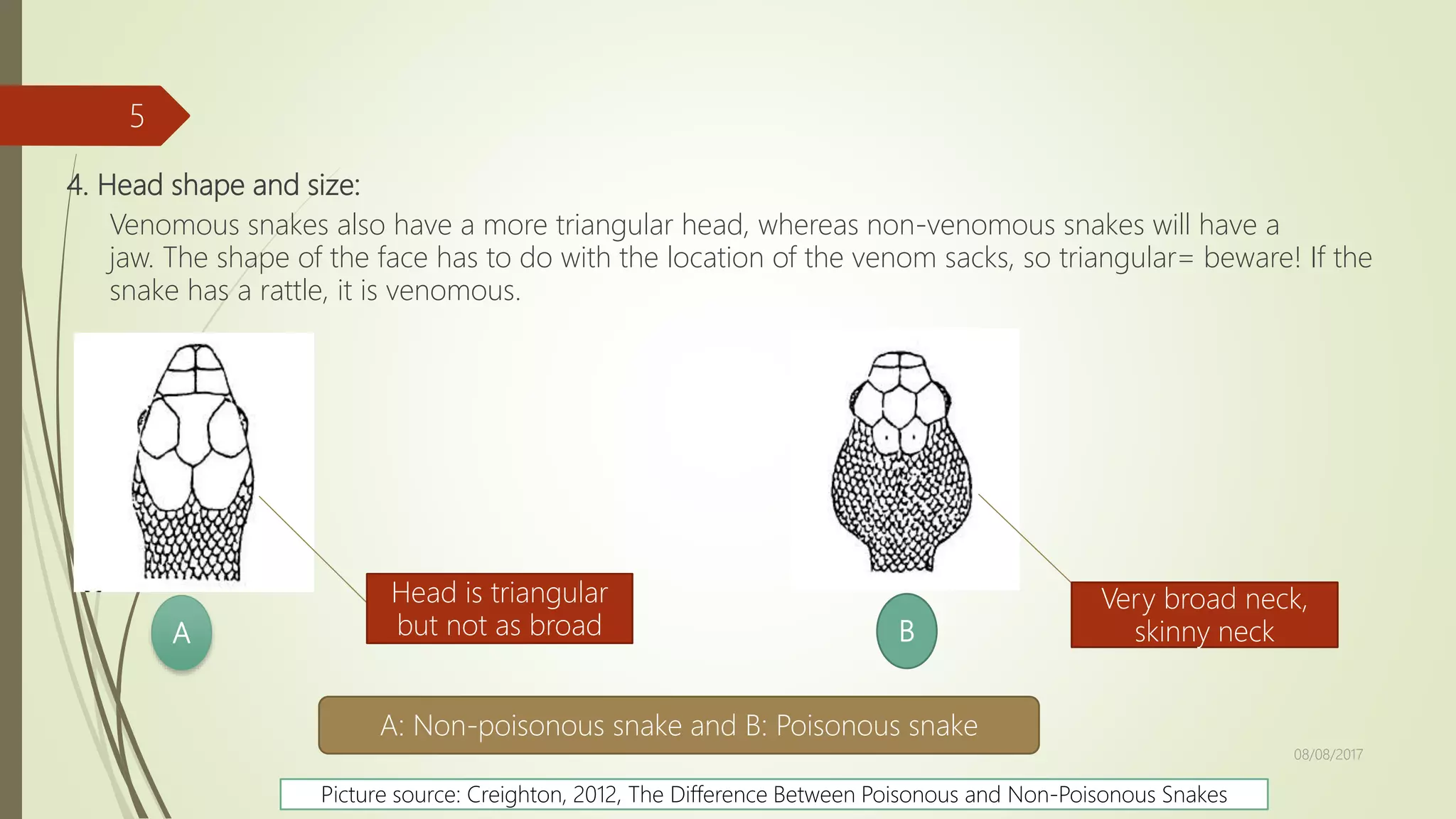How to Identify Poisonous and Non-poisonous Snake | PPTX