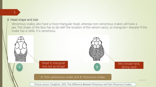 How to Identify Poisonous and Non-poisonous Snake | PPTX