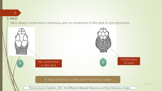 How to Identify Poisonous and Non-poisonous Snake | PPTX