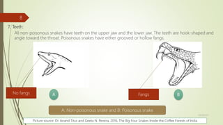 How to Identify Poisonous and Non-poisonous Snake | PPTX