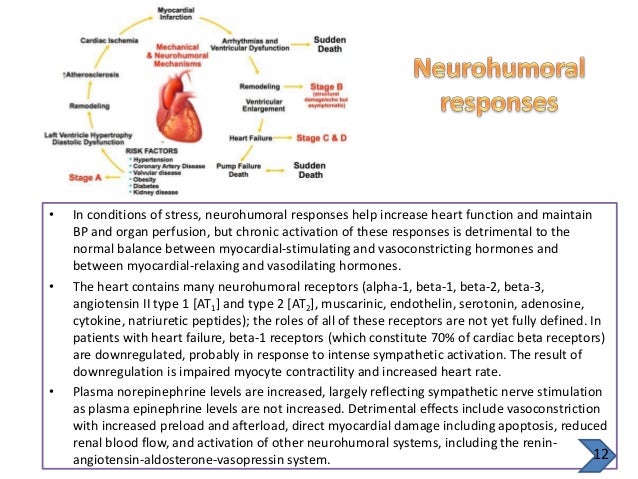 The Pathophysiology Of Hypertensive Acute Heart Failure Heart