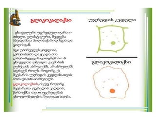 უჯრედის ორგანოიდები | PPTX