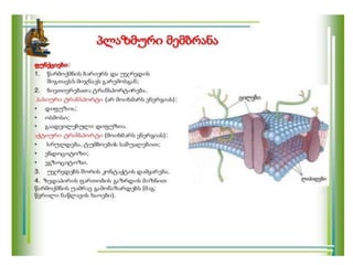 უჯრედის ორგანოიდები | PPTX