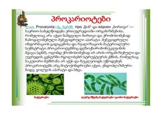 უჯრედის ორგანოიდები | PPTX