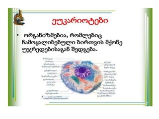 უჯრედის ორგანოიდები | PPTX