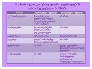 უჯრედის ორგანოიდები | PPTX