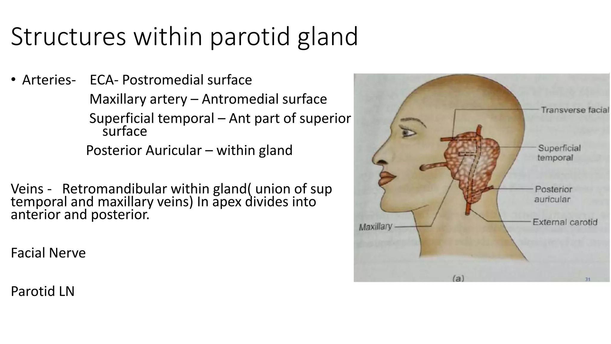 Sialendoscopy | PPTX