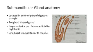 Sialendoscopy | PPTX