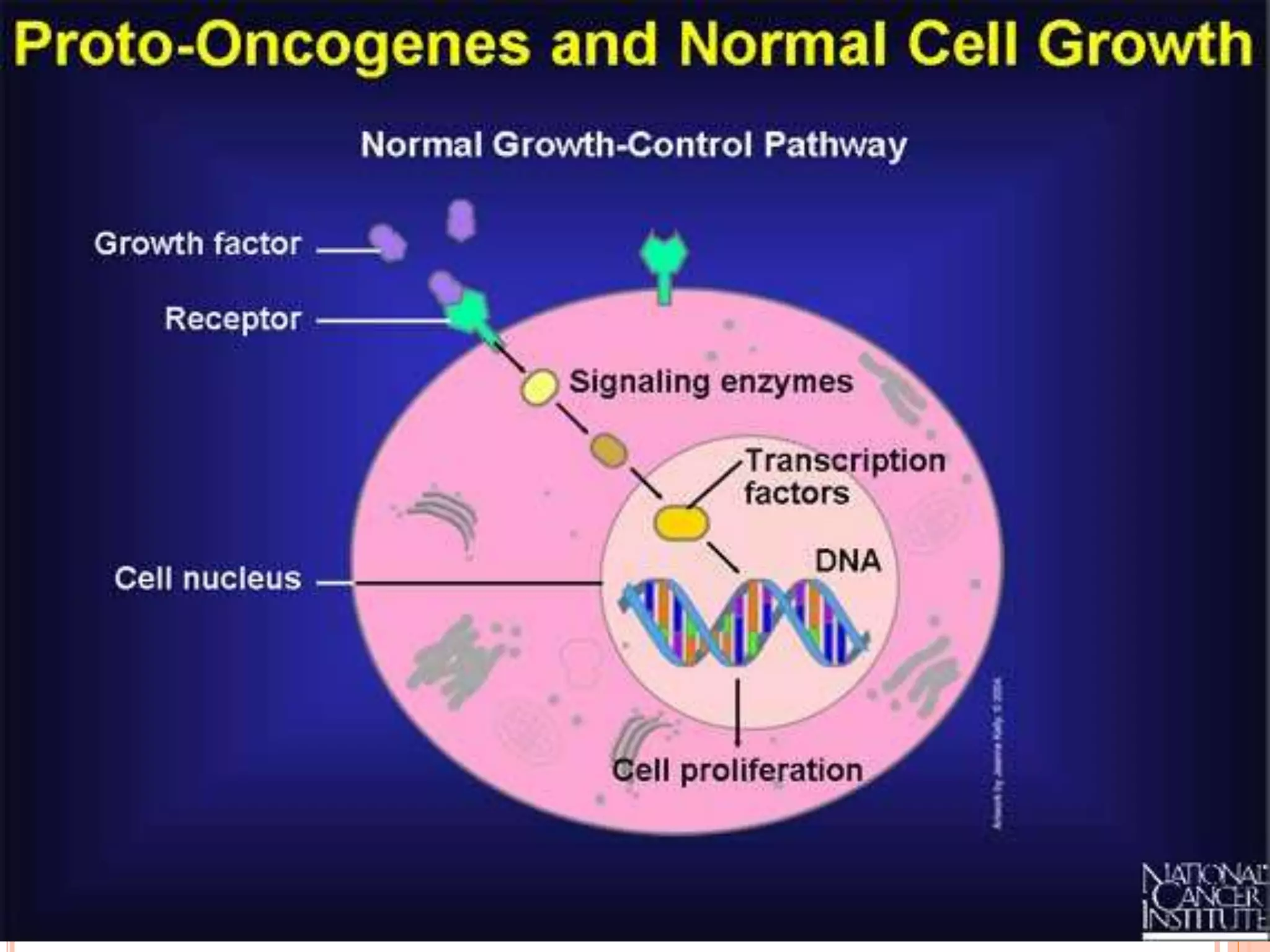 Oncogenes | PPTX