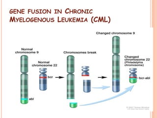 Oncogenes | PPTX