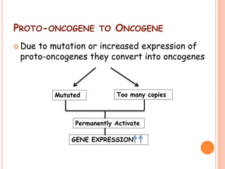 Oncogenes | PPTX