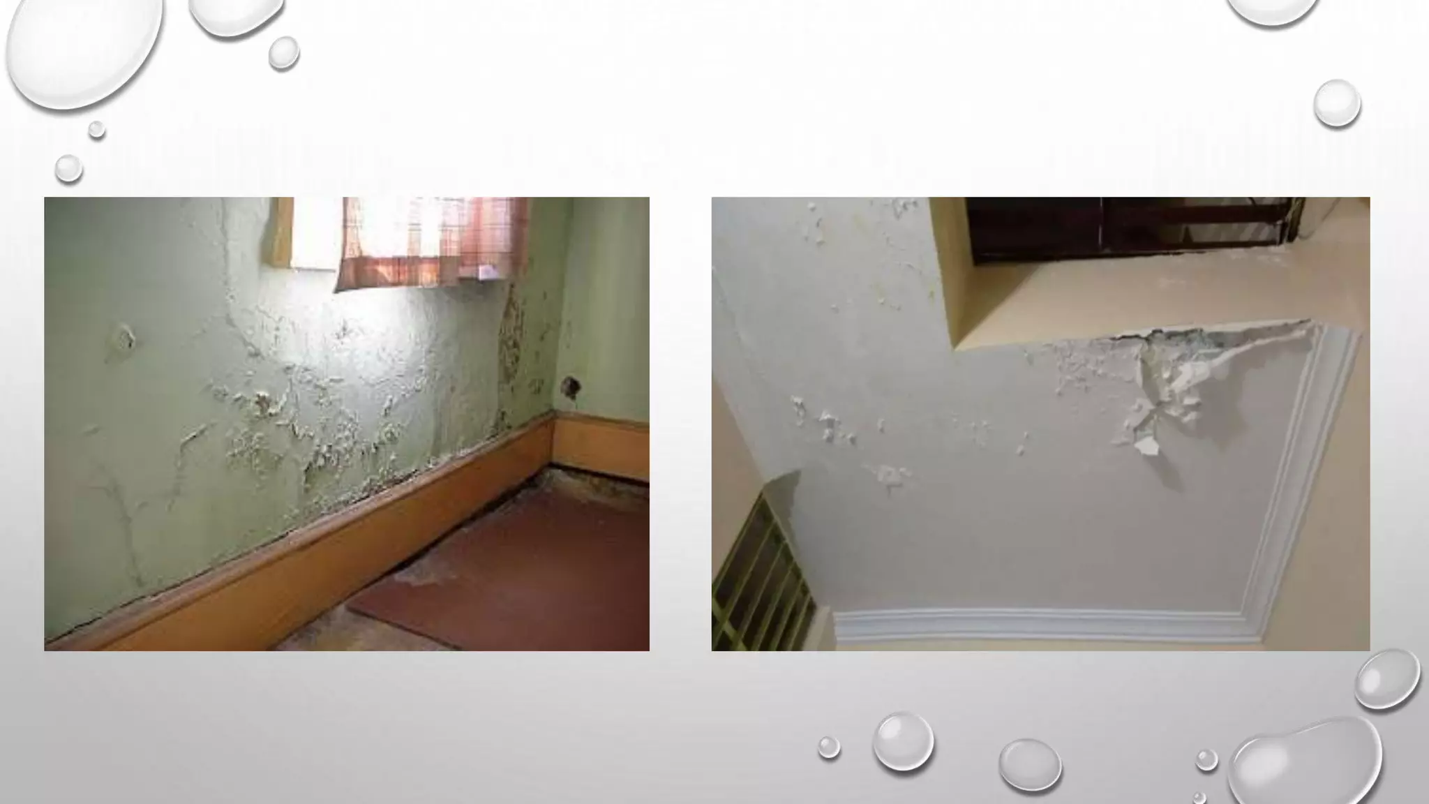 DAMPNESS IN BUILDINGS | PPTX