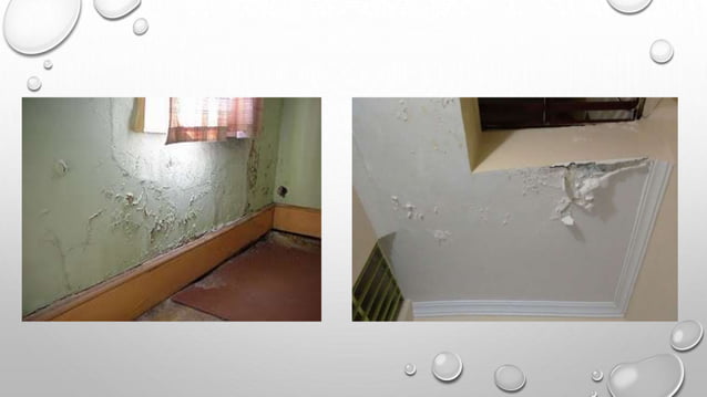 DAMPNESS IN BUILDINGS | PPTX | Chemistry | Science