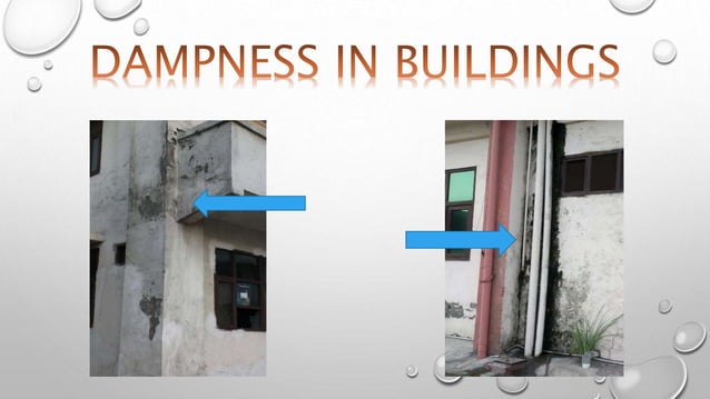 DAMPNESS IN BUILDINGS | PPTX | Chemistry | Science