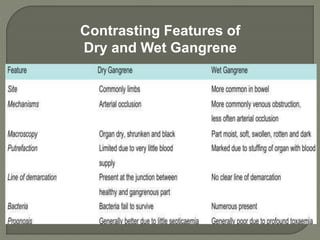Gangrene | PPTX