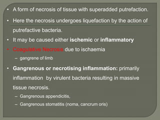 Gangrene | PPTX