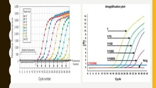 Real time PCR practical training | PPTX