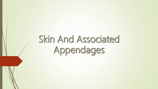 Skin presentation | PPT