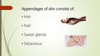 Skin presentation | PPT | Free Download