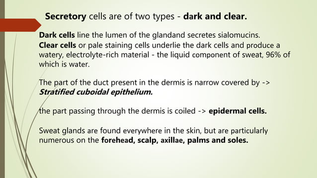 Skin presentation | PPT | Free Download