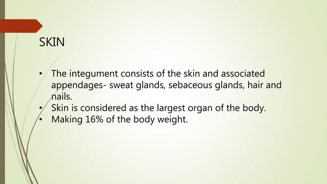 Skin presentation | PPT | Free Download