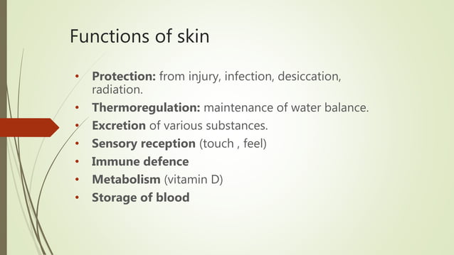Skin presentation | PPT | Free Download