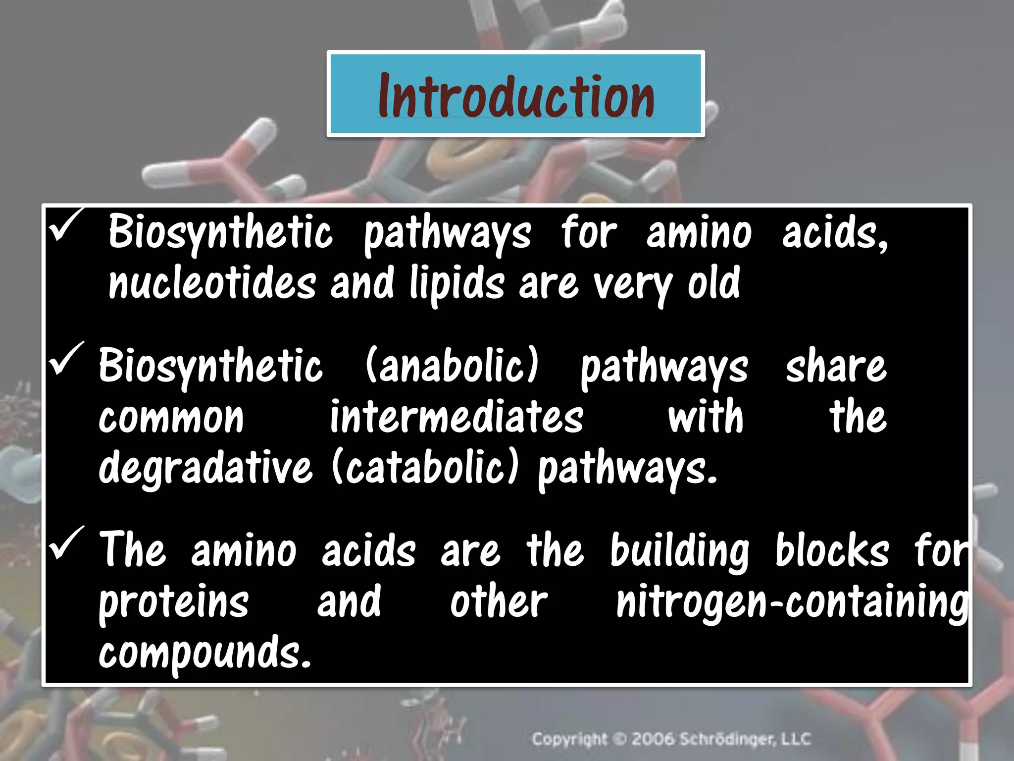 BIOSYNTHESIS OF AMINOACIDS | PDF