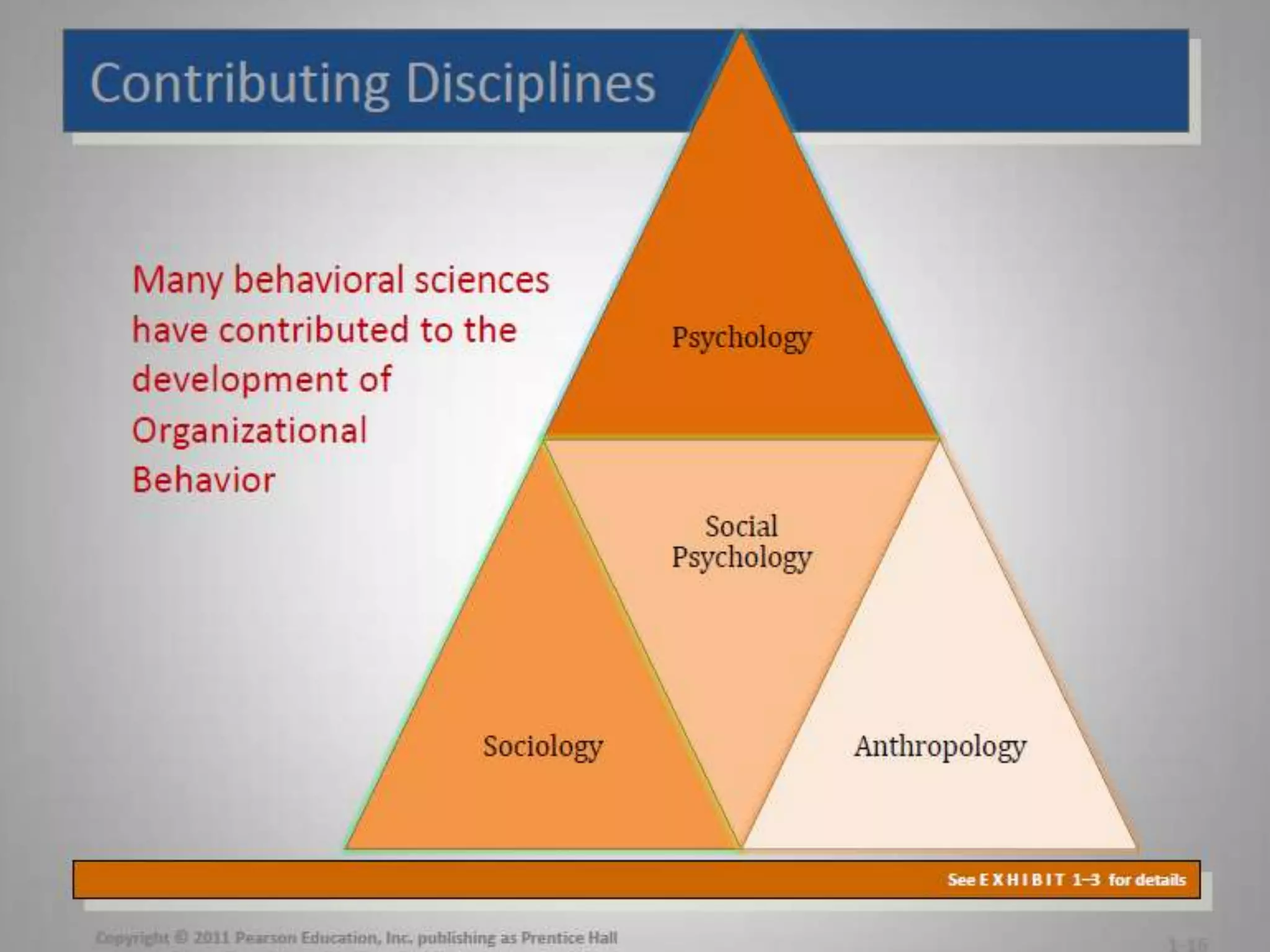 organizational behavior introduction | PPT