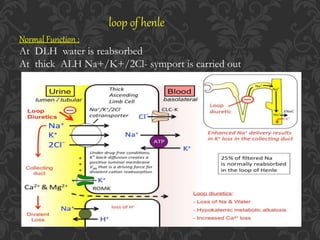 New microsoft power point presentation on Diuretics | PPTX