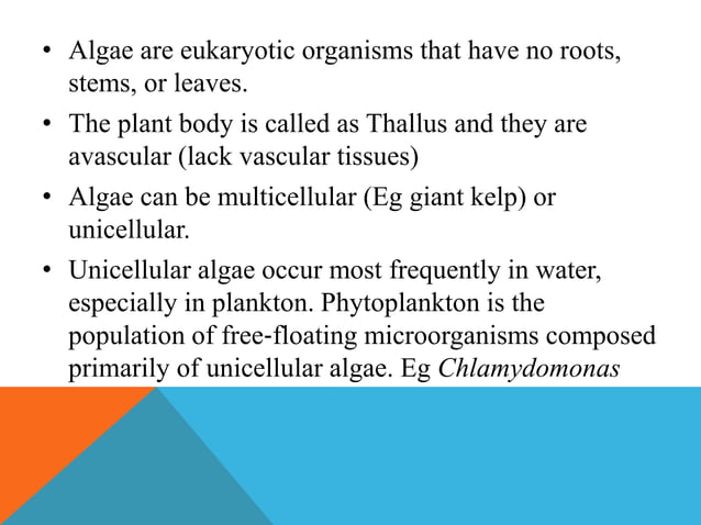 Phycology- GENERAL CHARACTERISTICS OF ALGAE | PPTX | Biological ...