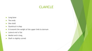 clavicale | PPTX