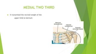 clavicale | PPT