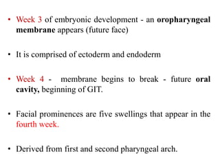 Development of Face and Palate including Anomalies of palate | PPTX