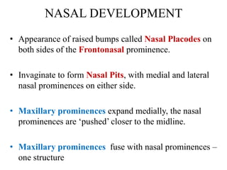 Development of Face and Palate including Anomalies of palate | PPTX