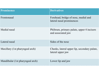 Development of Face and Palate including Anomalies of palate | PPTX