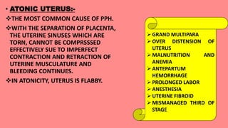 PPH MANAGEMENT DRILL | PPTX