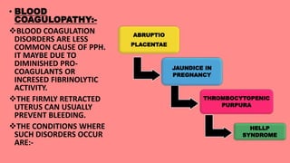PPH MANAGEMENT DRILL | PPTX