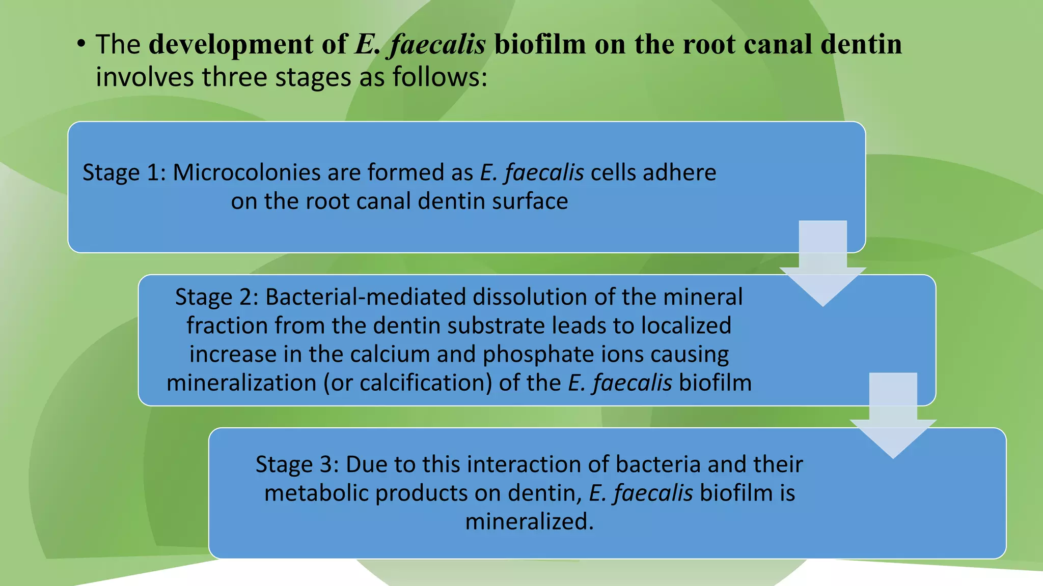 Biofilm in Endodontics | PPTX