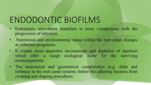 Biofilm in Endodontics | PPTX