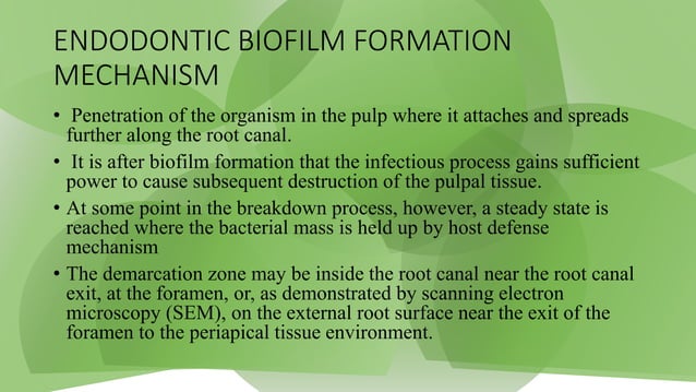 Biofilm in Endodontics | PPTX
