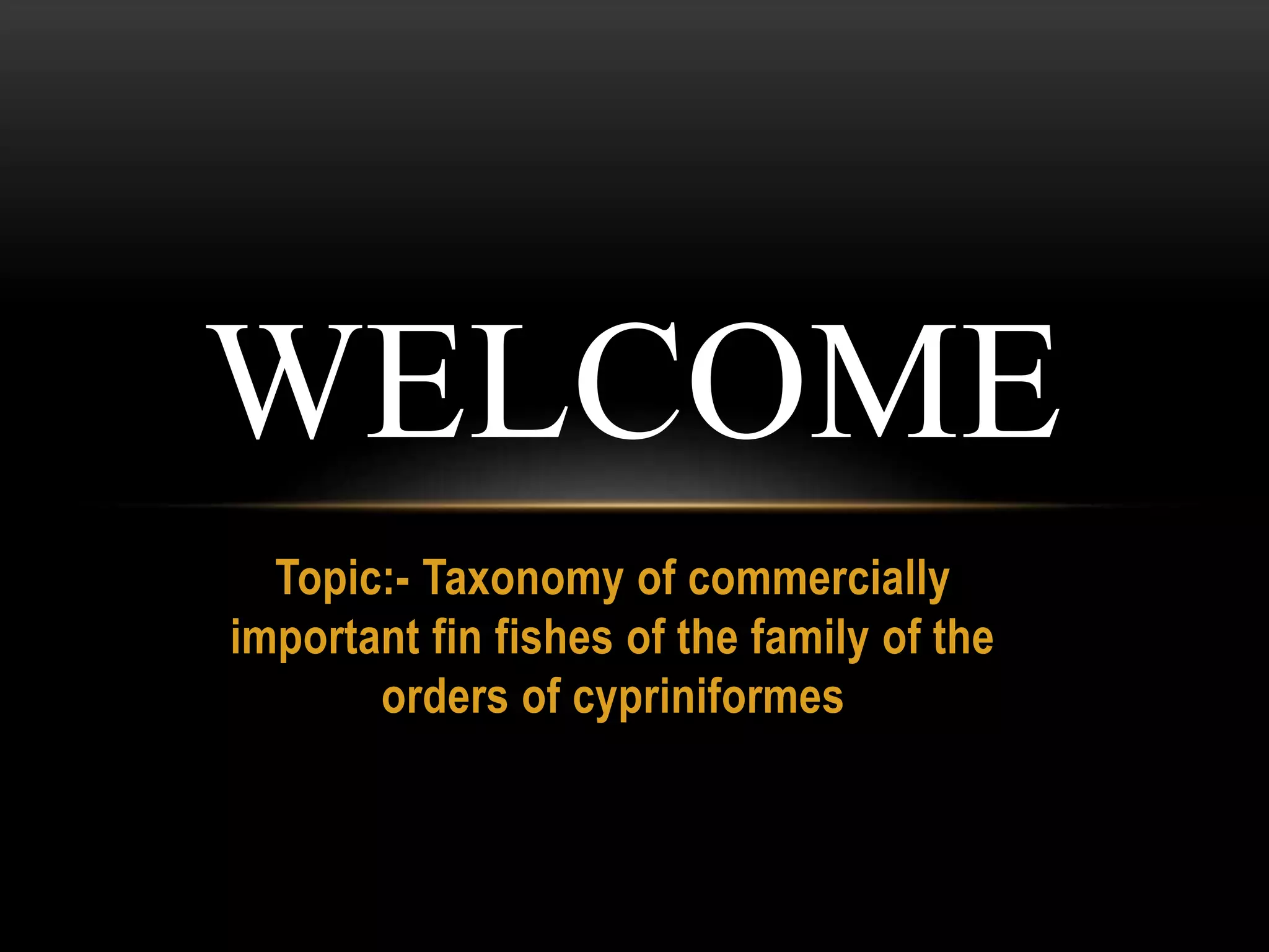 ORDER :- CYPRINIFORMES | PPTX
