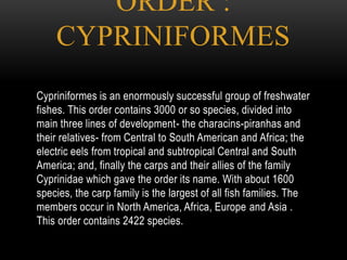 ORDER :- CYPRINIFORMES | PPTX