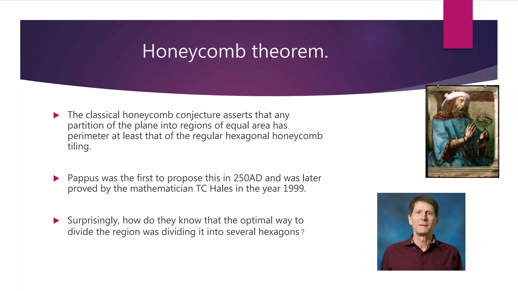 Mathematics in Nature | PPT