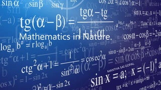 Mathematics in Nature | PPT