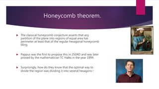 Mathematics in Nature | PPT