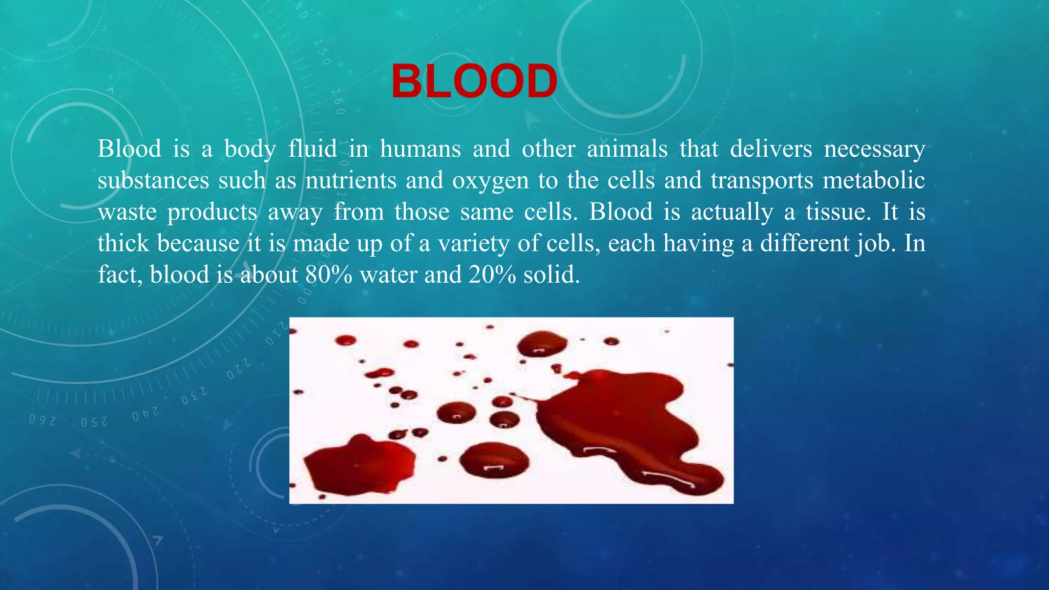 The Anatomy & Physiology of Blood. | PPTX