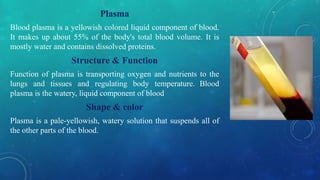 The Anatomy & Physiology of Blood. | PPTX