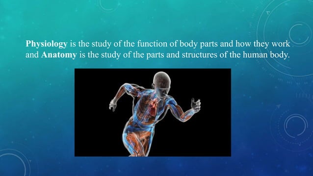 The Anatomy & Physiology of Blood. | PPTX