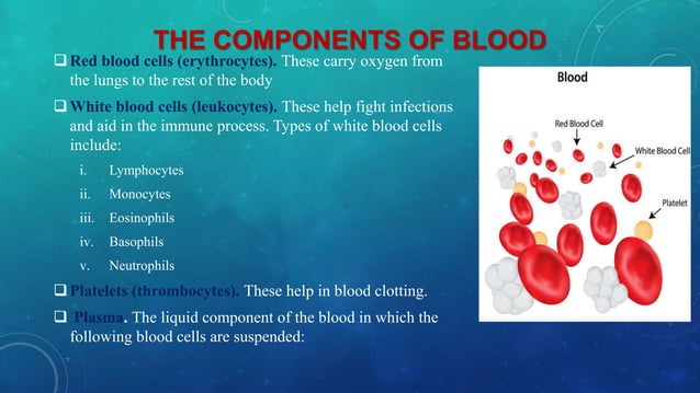 The Anatomy & Physiology of Blood. | PPTX